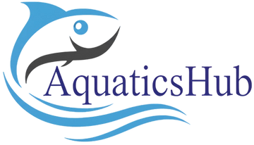 Beginner Fish UK: Best Fish for First-Time Aquarium Owners – AquaticsHub